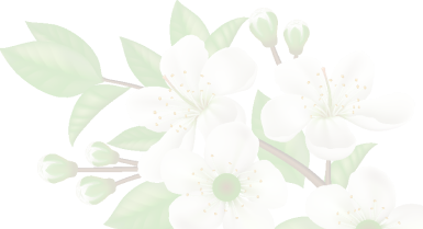 Omega Mini Capsule – CareNatal